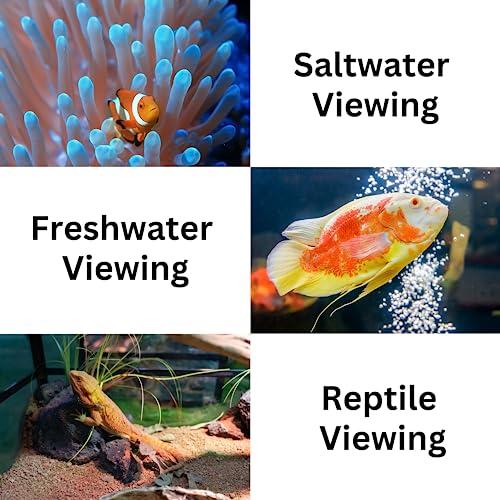FL!PPER DeepSee Aquarium Magnifier Magnetic Viewer – Fish Tank Magnifying Glass – Magnetic Magnifying Glass Ideal for Photography – Flipper Fish Tank Accessories, 4"