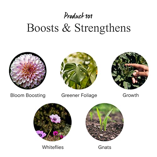 Arber Plant Food | Organic Fertilizer for Indoor & Outdoor Plants | Bloom Boosting Growth | Natural Gardening Solution | Soil Fertility Flowers, Vegetables | Liquid Concentrate | Makes Over 4 Gallons