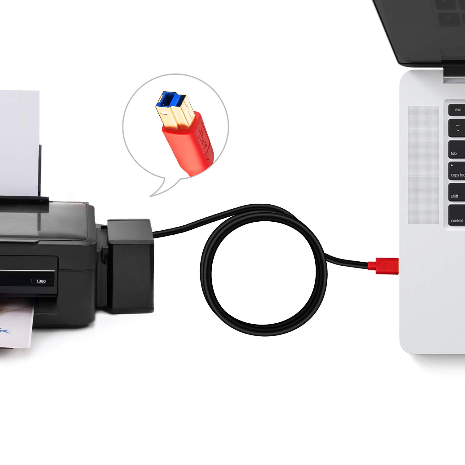 Tan QY USB 3.0 Cable A Male to B Male 20Ft, Type A to B Male Compatible with Hard Disk Drive,Printers,Scanner,USB Hub,Monitor and More (6m/20Ft)