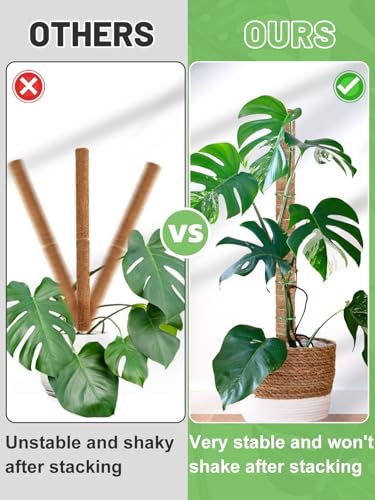 68'' Total Moss Monstera Pole Plants Support for Indoor Climbing Plants- Stable Stackable Coco Coir Stakes for Potted Plants, Easy to Use (6 Pack)