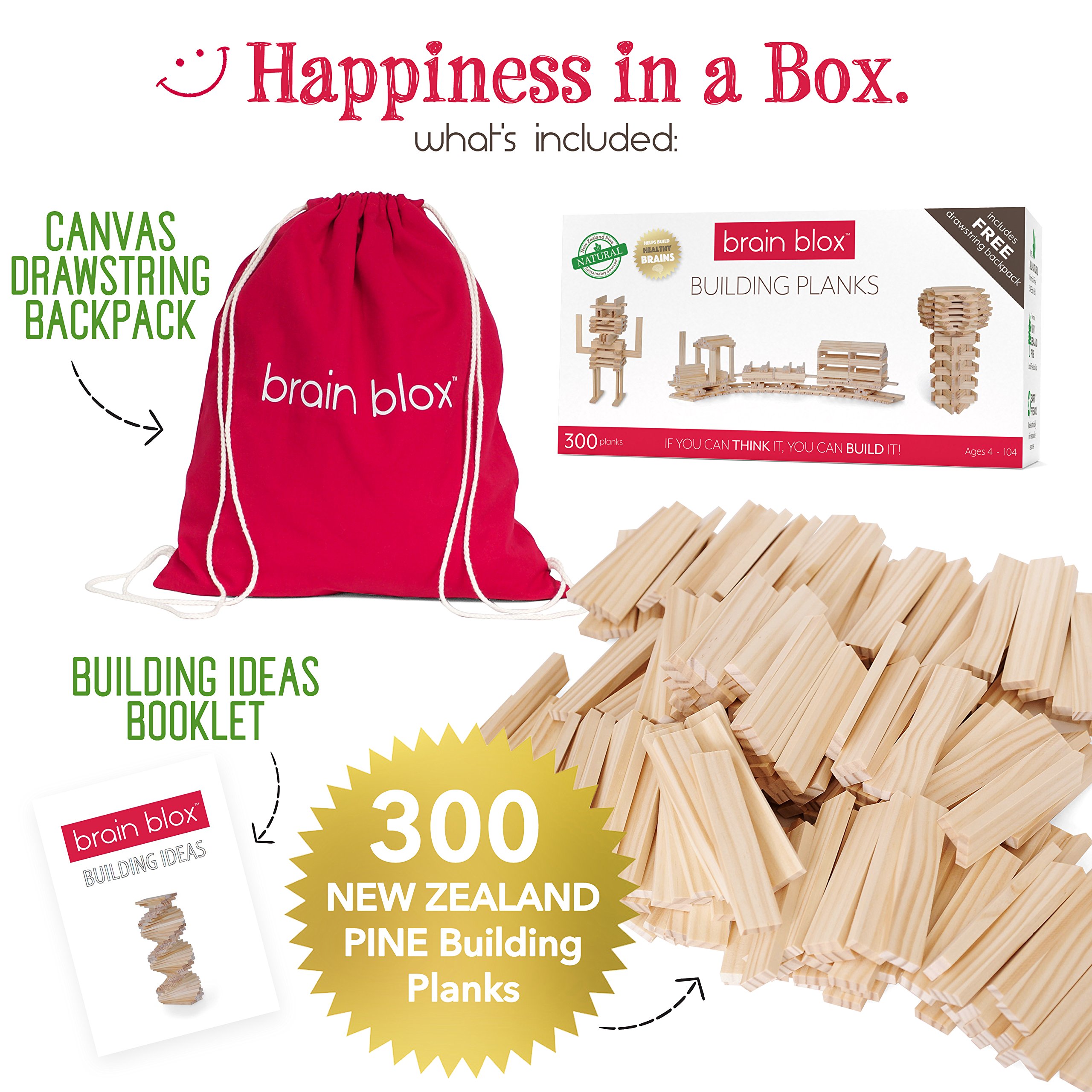 Brain Blox Natural Wooden Blocks for Kids Ages 4-8 - Montessori Blocks for Hands-on Learning - STEM and Architecture for Kids (300 Building Blocks)