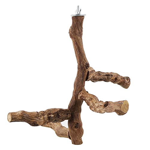 Allazone 6 PCS Bird Perch Natural with Chewing Toys Natural Grapevine Bird Stand Grape Stick Natural Bird Parrot Perch Standfor Parrots, Parakeets Cockatiels, Conures, Macaws, Love Birds