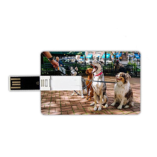 Personalized Credit Card Thumbdrive Custom DIY Logo USB Flash Drive (4GB X 20PCS)