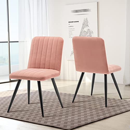 ALISH Mid Century Modern Dining Chairs Upholstered Dining Room Chairs Set of 2 Armless Accent Chairs Kitchen Chairs Side Chairs with Metal Legs for Home Kitchen(Pink, Set of 2)