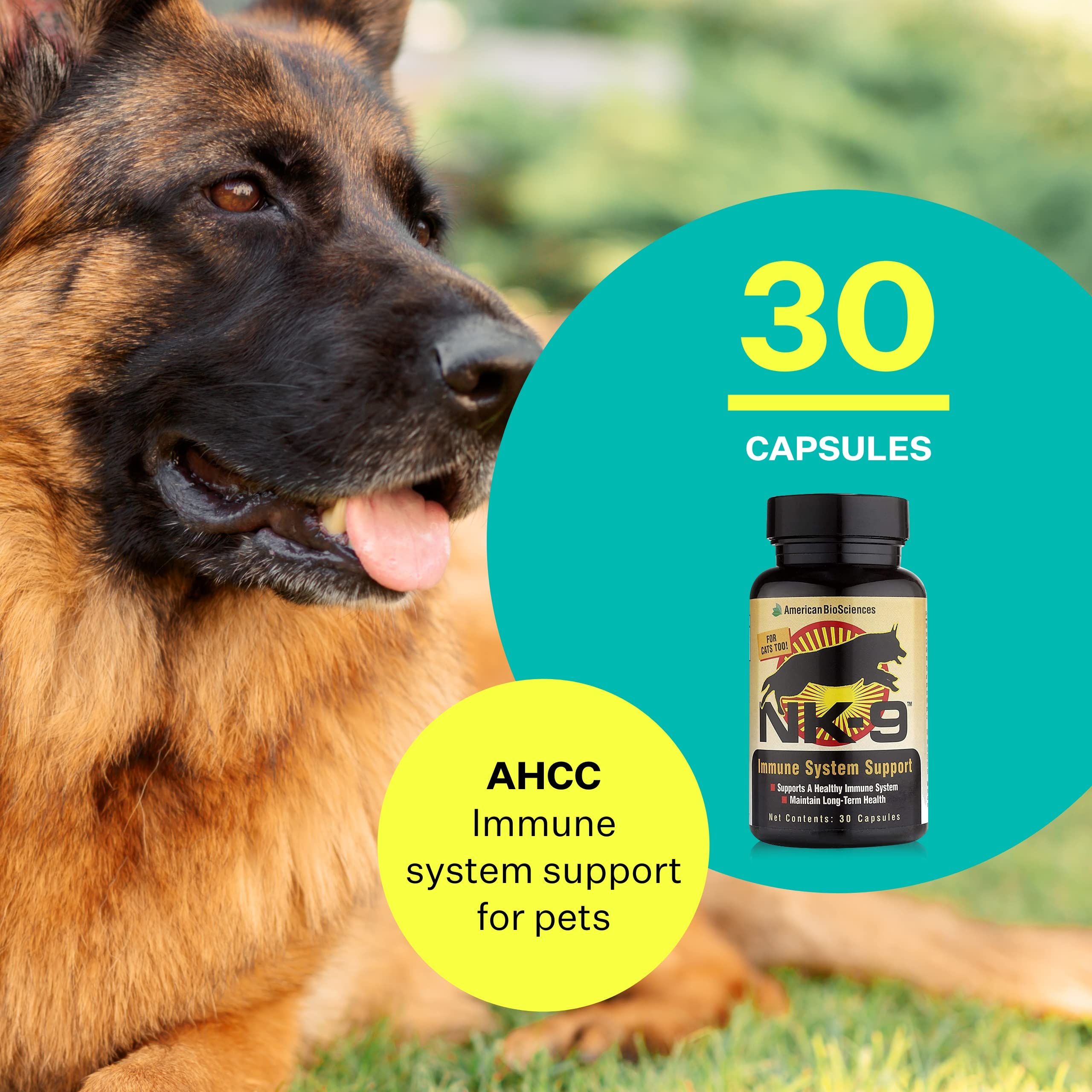 American BioSciences NK-9, AHCC Supplement for Dogs & Cats - Dietary Supplement to Support Immune System - Made for Pet's Immune Defenses - 30 Capsules, 250mg/capsule