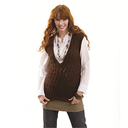 Caron Simply Soft Solids Yarn, 6oz, Gauge 4 Medium, 100% Acrylic, Chocolate - Machine Wash & Dry (H970039750)