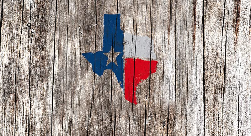 Mugzie Deluxe Can Cooler (Made in USA) - Premium Neoprene Wetsuit Material Beverage Can or Bottle Insulator for 16 OZ Soda Energy Drink Beer Cans - Texas Map