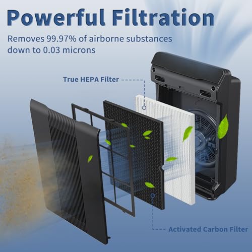 4 Pack 116130 True HEPA Replacement Filter H for Winix 5500-2, 5300-2, C535, 5300, 6300, 6300-2, P300, AM80, AM90, C909 and 9800 Air Purifier by PETOX