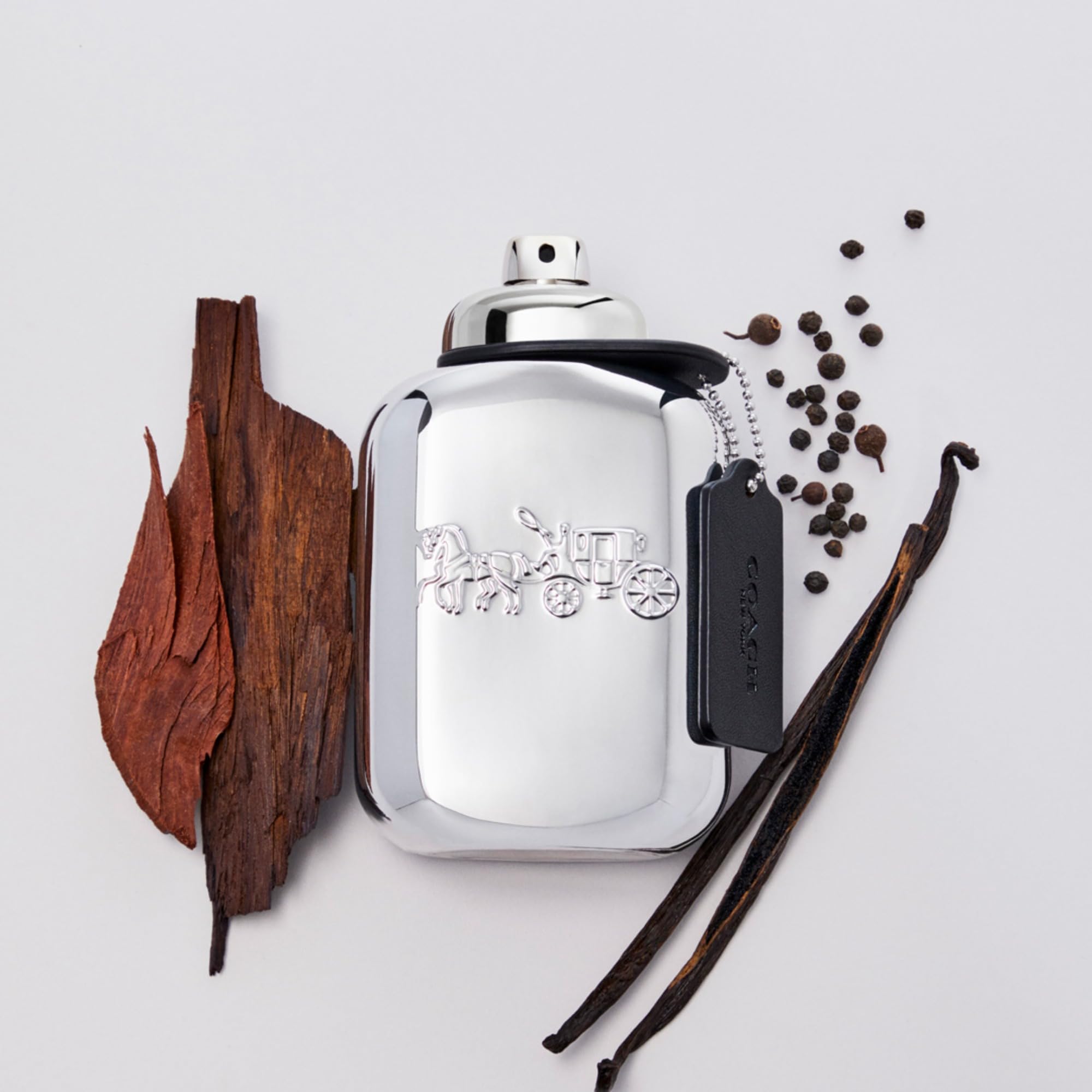 Coach Platinum Eau de Parfum - Long Lasting Fragrance with notes of Pineapple, Clary Sage & Vanilla Leather - Woody & Spicy - 2.0 fl. oz.