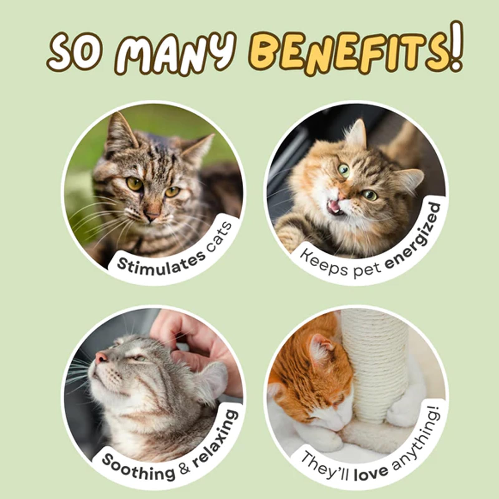 Kitty Joy Herbal Cat Joy, Cat Cupid Spray, Cuddles and Meow Cat Cupid Spray, Cat Cupid Spray Joy Cat, Celery Pets Herbal Cat Joy, Indoor Cat Training Spray with Catnip, Anti Scratch Cat Spray (3PCS)