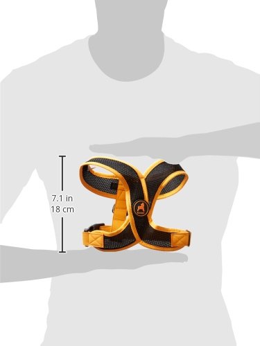 Gooby - Active X Head-in Harness, Choke Free Small Dog Harness with Synthetic Lambskin Soft Strap, Orange, Large