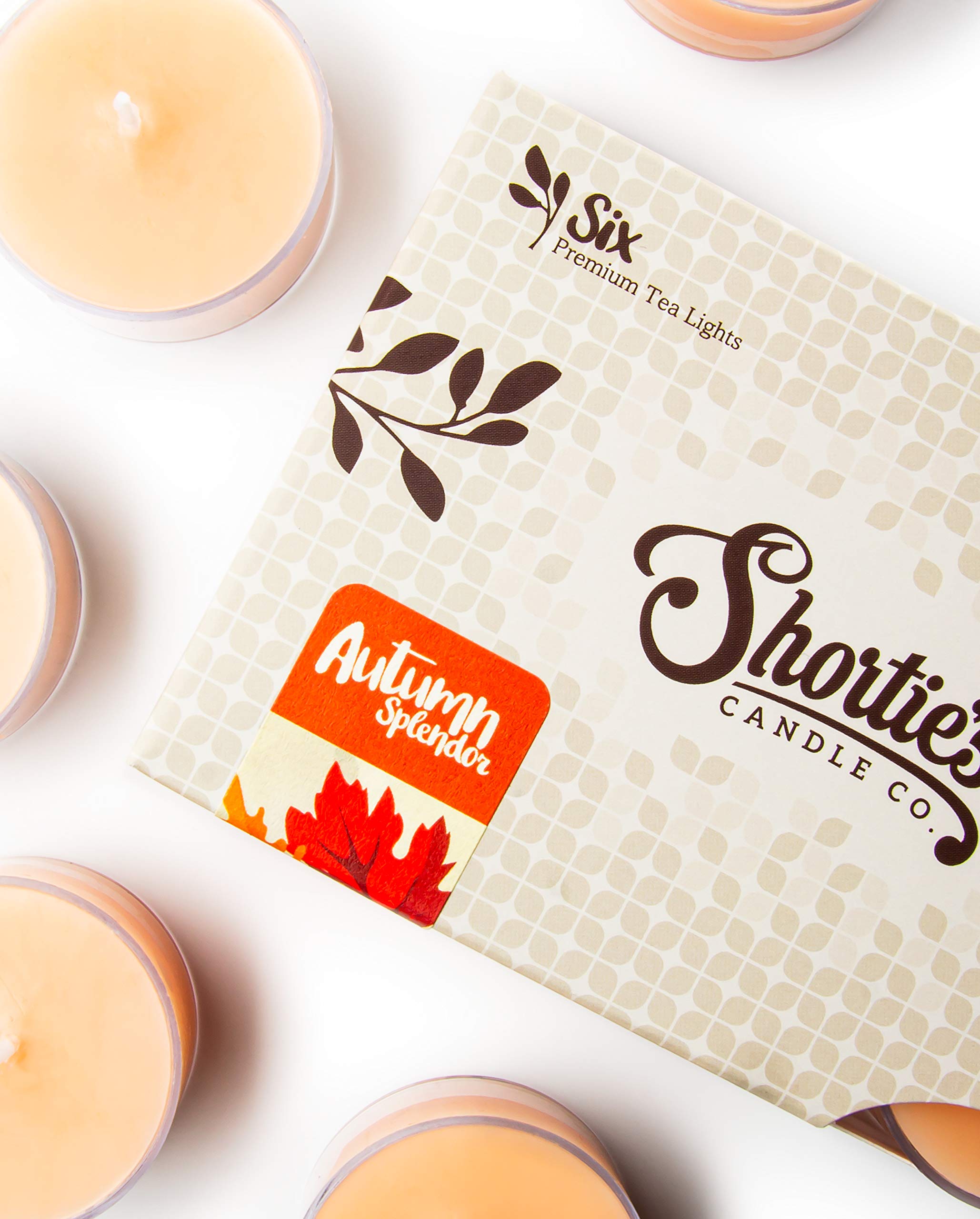 Autumn Splendor Premium Tealight Candles - Highly Scented with Essential Oils - 6 Orange Tea Lights - Beautiful Candlelight - Made in The USA - Christmas & Holiday Collection