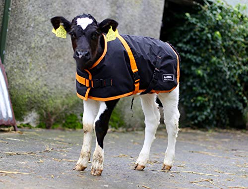 AniMac Super Calf Jacket for Calves, Sheep, Alpaca, Goats and Dogs ā Premium Waterproof Livestock Coat ā Breathable ā Synthetic ā Machine Washable