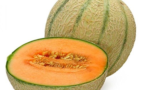 35 SEMI DI Miele Rock Cantaloupe 2018
