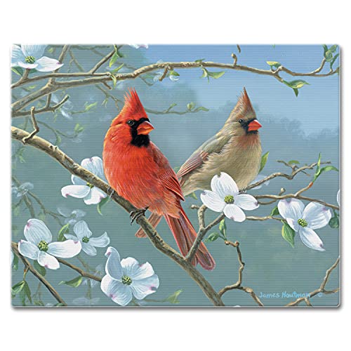 CounterArt Beautiful Songbirds Cardinal 3mm Heat Tolerant Tempered Glass Cutting Board 15β x 12β Manufactured in the USA Dishwasher Safe