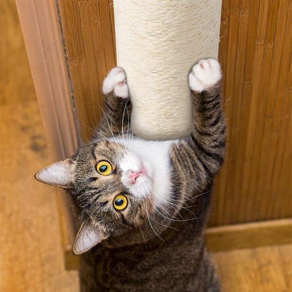 BEBOBLY Wall Mounted Cat Scratching Post for Indoor Cats | Kitten Wall Shelves Climbing Furniture| Sisal Rope Cat Claw Scratcher Tree | Solid Wooden Walkway for Cage Mounted Climbing Relaxing