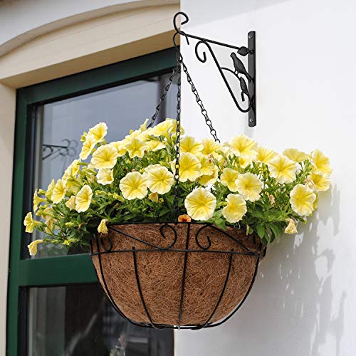 Amagabeli Hanging Plants Bracket 10 inch Outdoor Planter Hooks Hangers Flower Baskets Pot Bird Feeder Hanger for Fence Wall Trees Wind Chimes Lantern Outdoor Indoor Garden Arm 3D Bird Black hook02