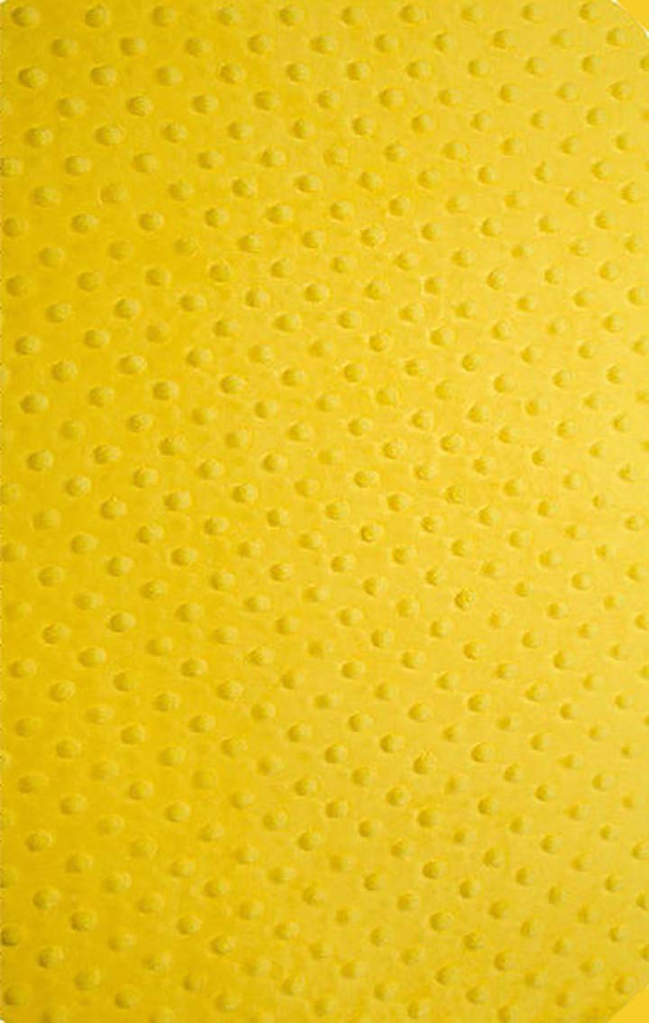 Future Tailgater Iowa Hawkeyes Licensed 10 x 10 Baby Crinkle Minky Lovey