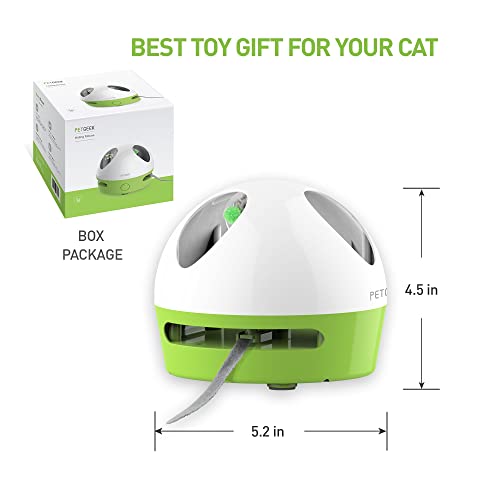 PETGEEK Interactive Cat Toy, Hide Mouse Cat Toy with Squeaky Mouse, Electronic Automatic Cat Toys with Catnip Filled Hidey Mouse, Cat Toys Interactive for Indoor Cats Exercise & Game