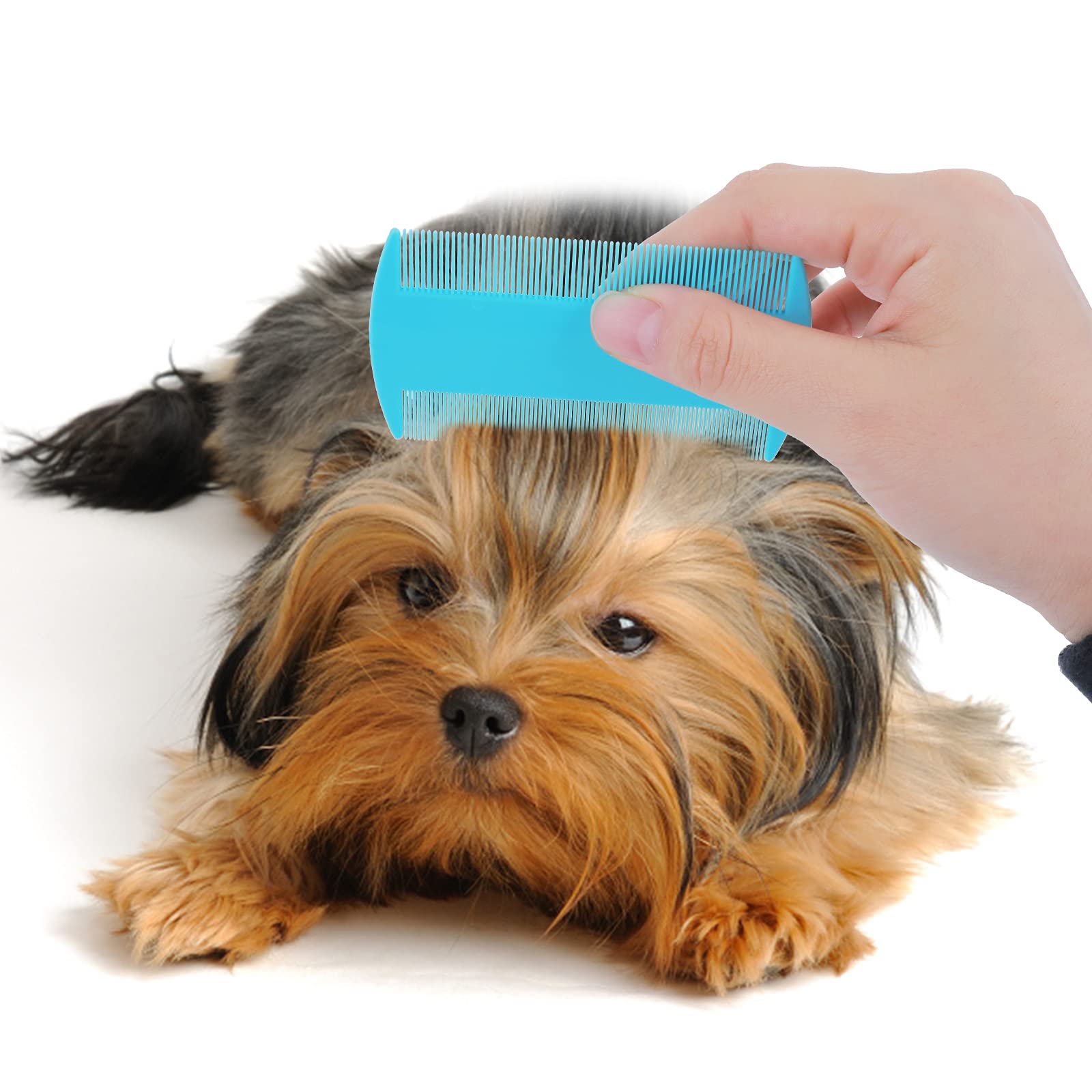 Molain, 12 Pieces Flea Lice Combs Cat Dog Grooming Comb, Double Side, Plastic, for Pet Owners, Unisex, All Hair Types, White, Green, Light Blue, Dark Blue, Orange, Pink