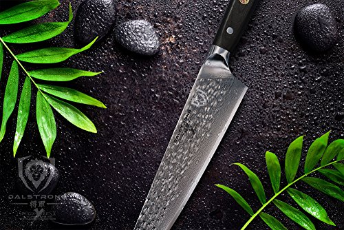 Dalstrong Shogun Series X Damascus Japanese AUS-10V Super Steel Chef Kitchen Knife with G10 Black Handle ABS, 10.25 Inches, Sheath Included