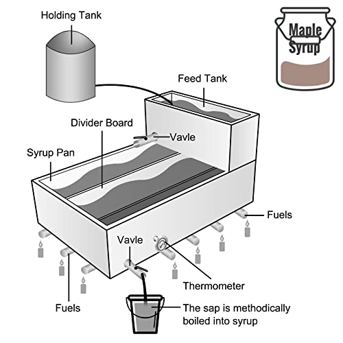 VBENLEM Maple Syrup Evaporator Pan 36x24x18.5 Inch Stainless Steel Maple Syrup Boiling Pan with Valve and Thermometer and Divided Pan and Feed Pan