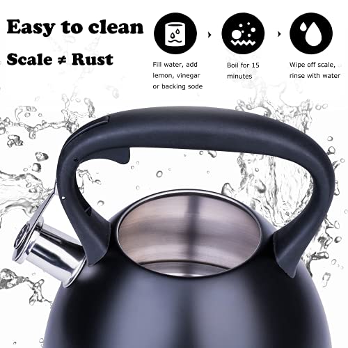 ARC, 346, 3.2 Quart / 3L Tea Kettle Food Grade with Heat Resistance Handle, Stainless Steel Teapot for Stovetop, Anti-Rust and Loud Whistling (3L - Black durable color 3)