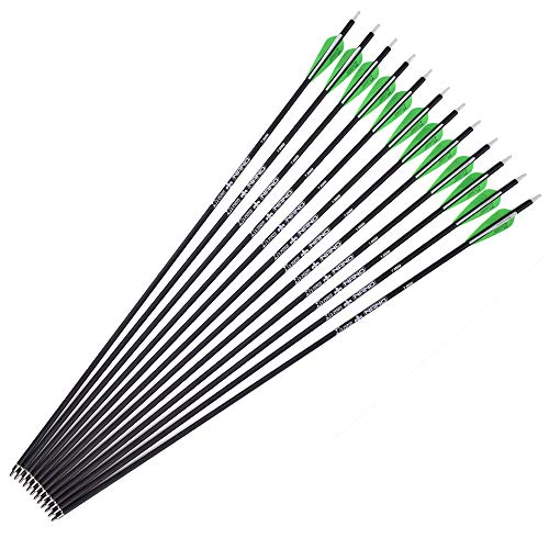 30 inch Carbon Arrows Youth Targeting Practice Hunting Arrows for Compound Bow Recurve Bow with Removable Tips (Pack of 12)