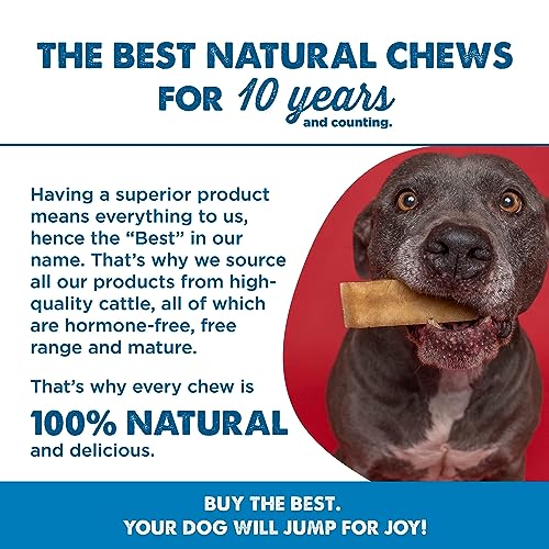Best Bully Sticks All-Natural USA Baked & Packed Himalayan Yak Cheese for Dogs - Vegetarian & Lactose Free - Fully Digestible, Long-Lasting Chews - Large Chews from 4 Pack