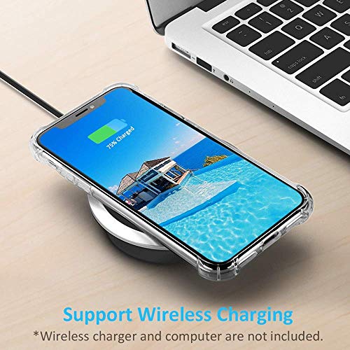 STORM BUY Phone Case Compatible for [ iPhone Xs Max ], Crystal Clear Hard Back Cover with 4 Corners Shockproof Protection Clear Case for iPhone Xs Max, 6.5 inches-CL