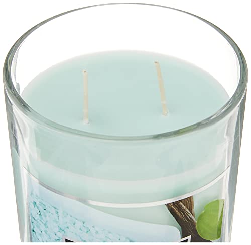 Aromascape PT41919 2-Wick Scented Jar Candle, Sea Salt & Vanilla, 19-Ounce, Blue