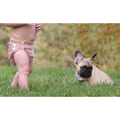 GroVia Buttah O.N.E. Reusable Baby Cloth Diaper (Clay)