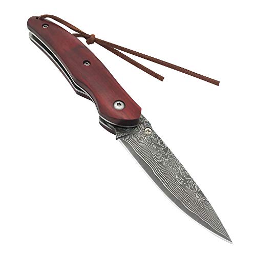 ALBATROSS HGDK004 Awesome EDC Damascus Pocket Folding Knife lanyard, Rosewood Handle, Gifts/Collections
