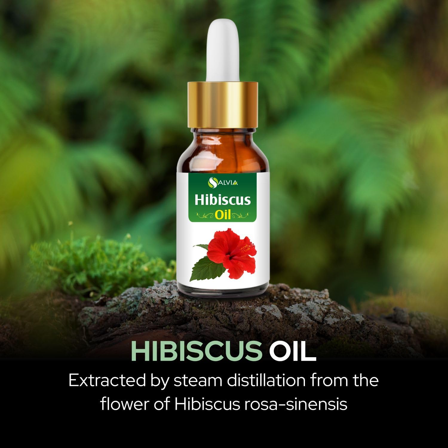 Hibiscus (Hibiscus Sabdariffa L) Essential Oil 100% Pure Uncut Undiluted Cold Pressed Herbal Premium Aromatherapy Oil - 15 ML with Dropper
