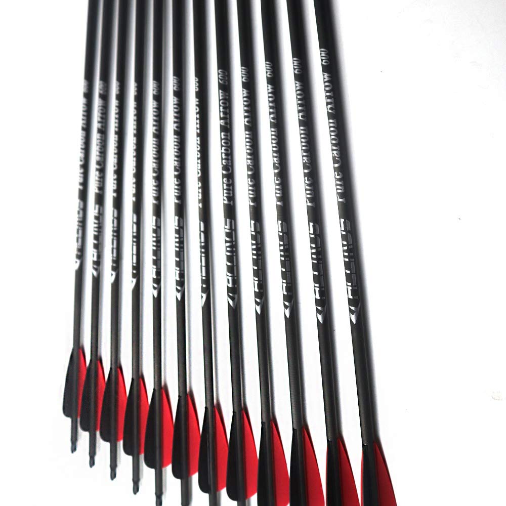 31" Arrows 800 Spine Arrows for Compound Bows ID 6.2 mm 28.5/29/30 Inch Replaceable Tip Carbon Arrow for 10/15/20/25/30/35/40 Lbs Recurve Bow Longbow Archery Hunting Target Practice