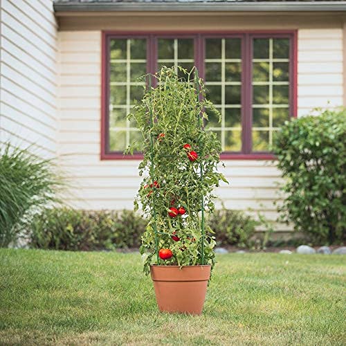 4 Pack Tomato Cages for Garden,Garden Stakes for Plants, Plant Cages with 3 Adjustable Rings,Plant Stake for Supporter Climbing Plants(18 inches,Pack of 4)