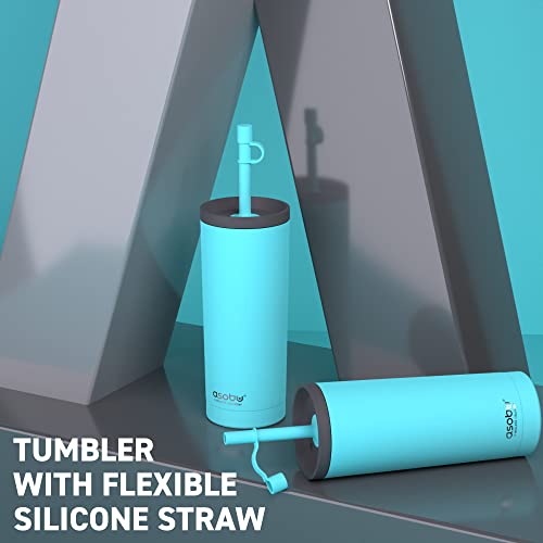asobu Sippy Double Wall Stainless Steel Tumbler with Silicone Flexible Straw, 20 Ounces (Teal)