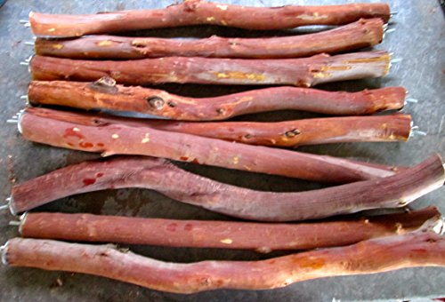 Manzanita Perches Five Pack 24" Two Feet Long