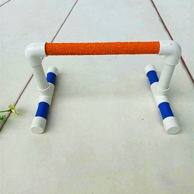 Hypeety Small Bird Parrot Stand Perch Table Top Stand Playground Grind Perch Swing Training Playstand Exercise Chew Toys for Budgies Parakeet Cockatiel Conure Finch (Perch, M)