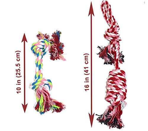 Jalousie Chew Toy Natural Rubber chew Toy for Interactive Play Toy Ball Rope Rubber Value Set for Small to Medium Breed Dog mutt Puppy