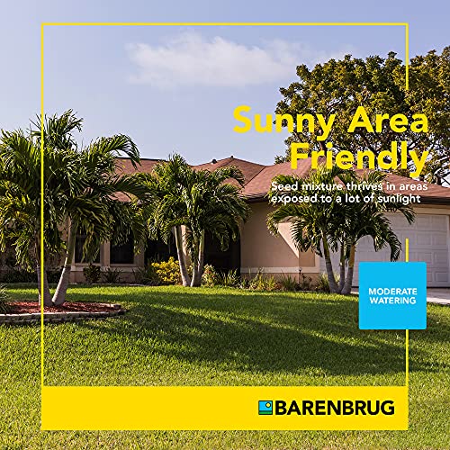 Barenbrug PanAm Bermudagrass with Yellow Jacket Coating - Grass Seed for Sunny Areas and Humid Climates - New and Improved Blend, (1 LB Bag)