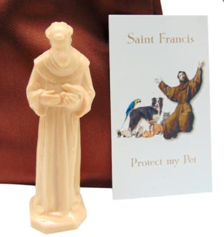 Westmon Works St Francis Pet Prayer Set Holy Card Patron Saint Novena Prayer with Plastic Saint Statue for Dog and Cat Owners