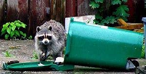Lid Loc Outdoor Garbage Can Lock Keeps Trash Secure and Wildlife Out Wind Weather Proof Strong Durable