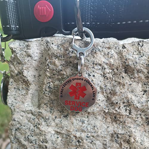 CIREGE Double Sided Service Dog Tag with Red Medical Alert Dog Identification, Service Dog Medallion, Stainless Steel, Stone Polishing Process, Durable, Psychiatric Service Dog Patch with Clip