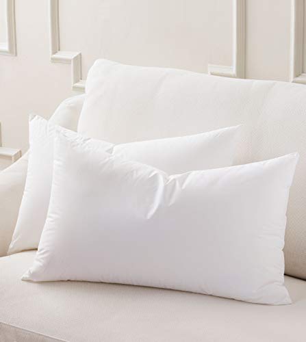 Plankroad Home Décor 15x21 Hypoallergenic Luxury 100% Small Feather Rectangular Pillow Insert, 100% Cambric Cotton Shell, Never Vacuum-Packed, Odorless, Made in USA, Set of 2