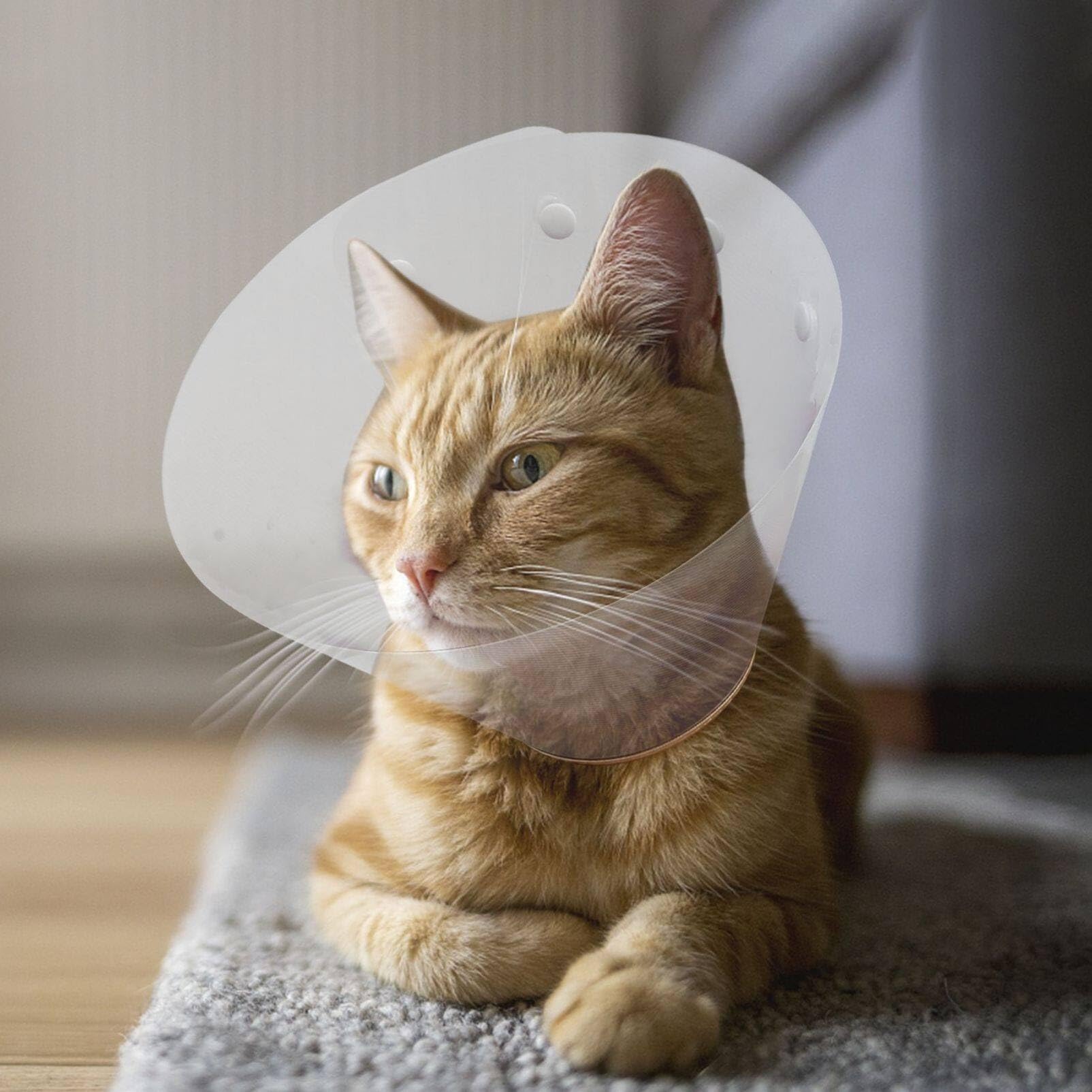 BCOATH Pets Elizabeth Circle Kitten Collars Pet Cat Recovery Collar Cat Recovery Collars & Cones Cat Recovery Neck Cone Cat Kitten Recovery Collar Cat Cone Pet Recovery Cone Rope