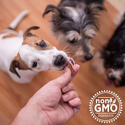 The Missing Link Collagen Care Soft Chew Nutritional Treats for Dogs - Collagen, Glucosamine, Chondroitin & Turmeric - Mobility & Anti-Inflammatory Support - Hip & Joint 60 Count
