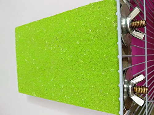 Hypeety Colorful Bird Perch Stand Platform for Parrot Macaw African Greys Budgies Parakeet Cockatiels Natural Wood Paw Grinding Clean Cage Toy (Random Color)(B)