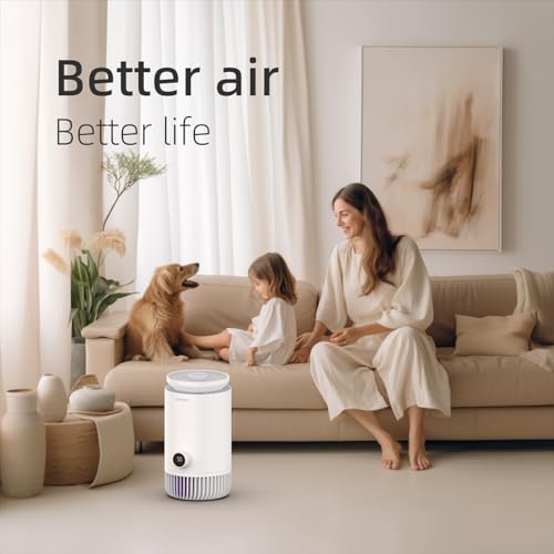 AIRAPEX 2 in 1 Air Purifier and Evaporative Humidifier Combo for Bedroom, H13 True HEPA Filter, Cool Mist-Free Air Humidifier T3-Silver Button
