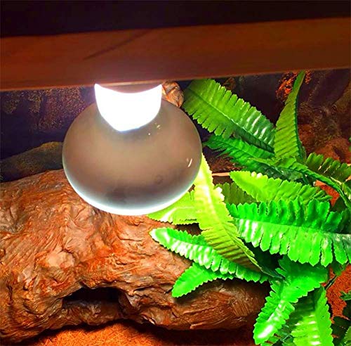 MaoTopCom 50W Basking Spot Heat Lamp Bulbs(2 Pack), 110V Reptile Mercury Vapor Bulbs Soft White Poly Sand Light Dome Bulb for Reptile and Amphibian Use, as Tortoise Lizard